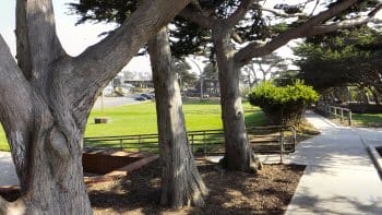 Shamel Park Cambria - A Nice Family Park Right On The Beach