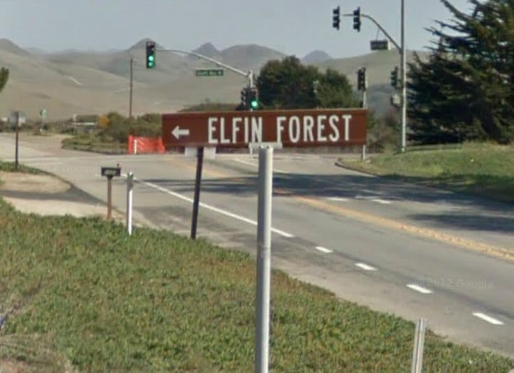 Los Osos Elfin Forest-Baywood Park, On Morro Bay