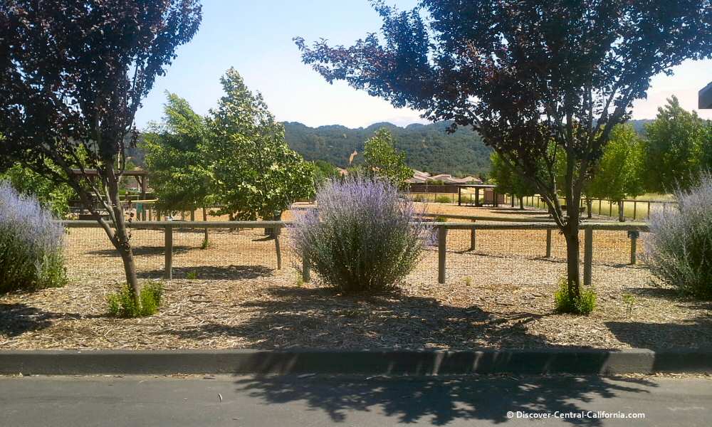 Templeton California - Wine Country Cow Town With Charm