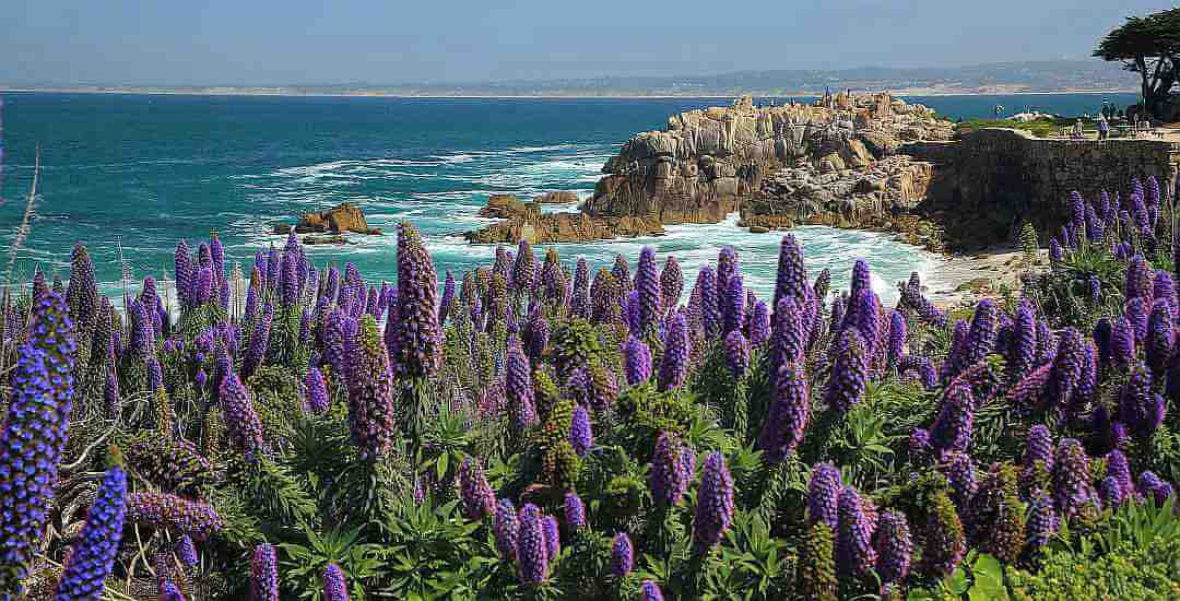 Discover Central California Destinations And Attractions