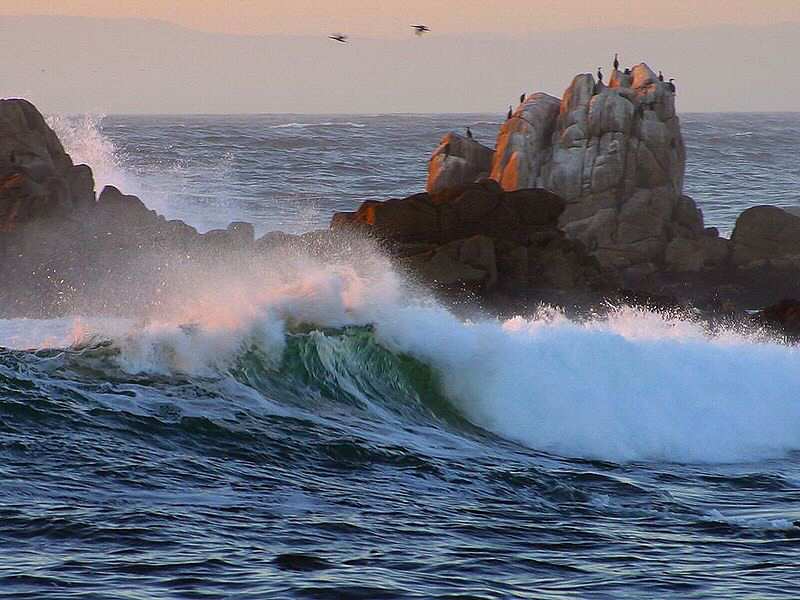Asilomar State Beach - Sandy, Rocky And Accessible