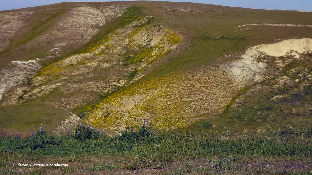 Bitterwater Road - A Lovely Scenic Drive Through The Hills Of Eastern ...