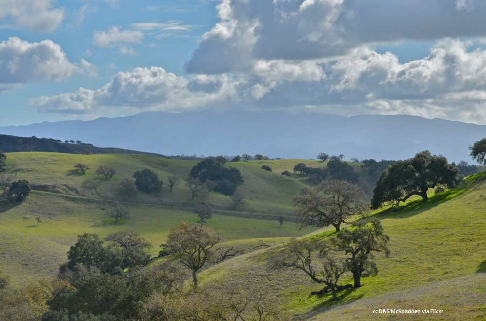 Foxen Canyon - A Rustic Back Road Drive That Leads To Treasures Of Wine Tasting